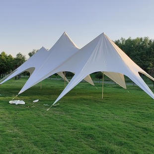 10米单峰双峰三峰云顶天幕莲花天幕大型天幕 驼峰帐篷-阿里巴巴