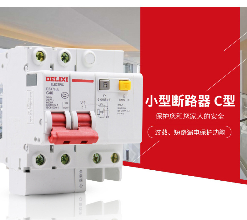 德力西空气开关DZ47SLE漏电保护器2P空气开关63A漏保空开家用32A-阿里巴巴