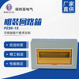 厂家特惠 明装回路箱PZ30-15# 终端照明箱配电箱带透明盖-阿里巴巴