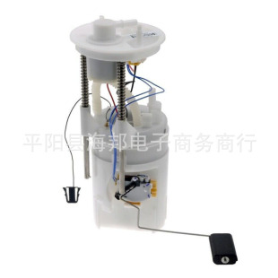 16114826897, 16115A24063, 16117403906燃油泵总成适用于宝马 X5-阿里巴巴