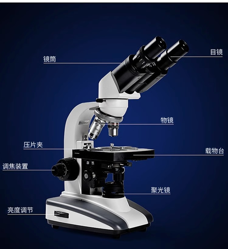 彼爱姆XSP-BM单双三目显微镜实验室1600倍专业科研光学生物显微镜-阿里巴巴