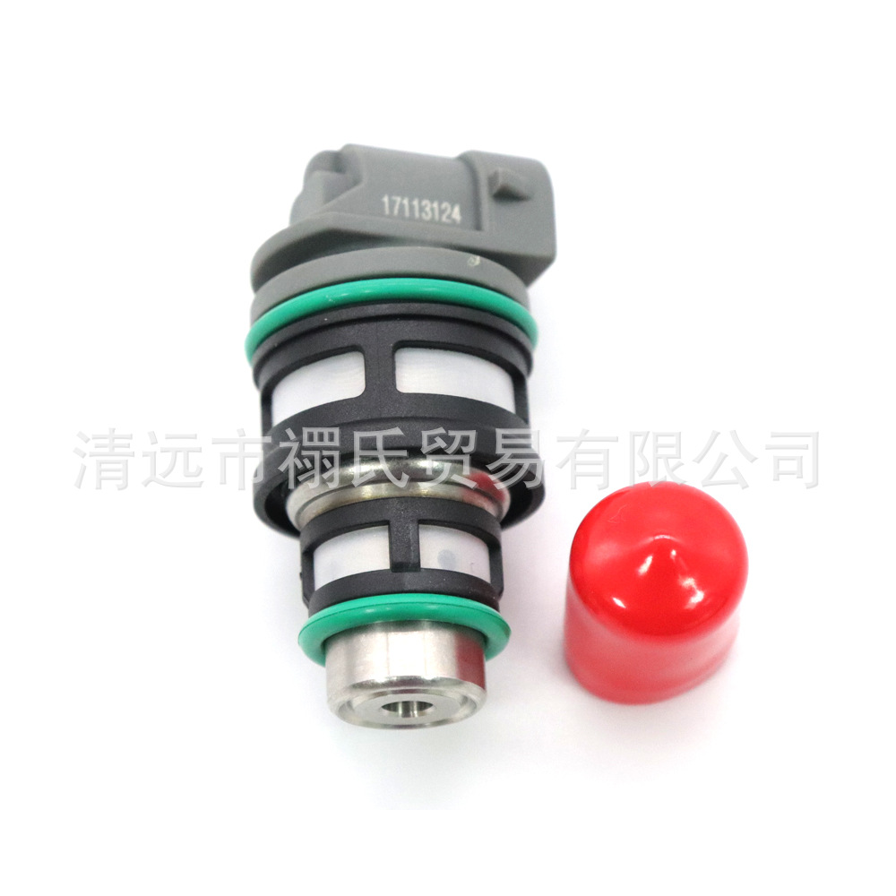 17113124适用于汽车燃油喷射器喷油嘴FJ100 FJ10045-阿里巴巴