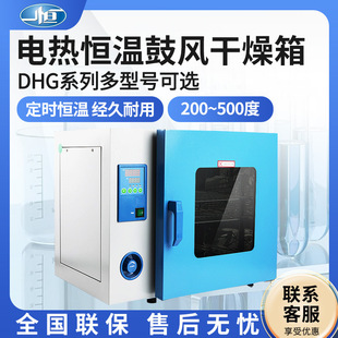 上海一恒鼓风干燥箱 DHG系列 实验室工业烘箱 电热恒温鼓风干燥箱-阿里巴巴