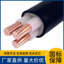 国标WDZ-YJ(F)E WDZN-YJ(F)E22辐照交联低压无卤铠装耐火电缆-阿里巴巴