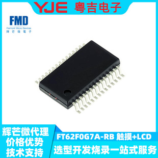 FMD辉芒微FT62F0G7A-RB 触摸单片机 SOP28 LED LCD驱动主控芯片-阿里巴巴