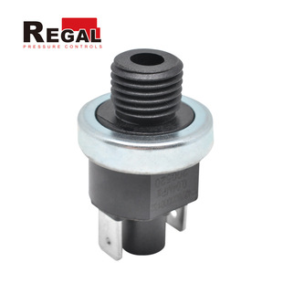 RiTOR厂家壁挂炉压力水位开关 商用制冰机/咖啡机/啤酒机压力开关-阿里巴巴