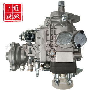 0460424057适用发动机配件VE燃油泵 高压共轨喷油泵总成3916925-阿里巴巴