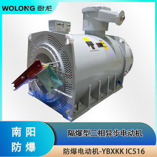 南阳防爆电机YBXKK560-4/1000kW 高压防爆电机IC516结构 啸驰电机-阿里巴巴