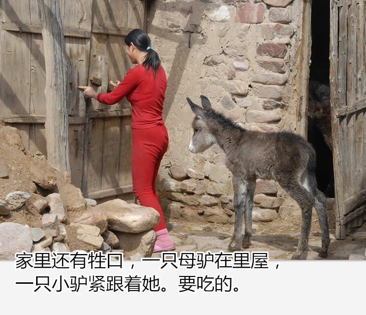 吕梁山区野生老树 新货500克分心木隔心木核桃分心木包邮-阿里巴巴