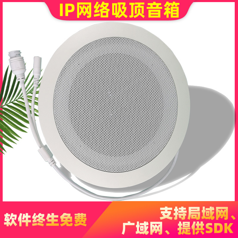 IP network digital voice paging broadcast ceiling ceiling speaker ...