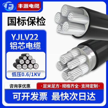 YJLV22铝芯铠装1/2/3/4/5/3+1/3+2/4+1芯150/300平方铝芯电线电缆-阿里巴巴