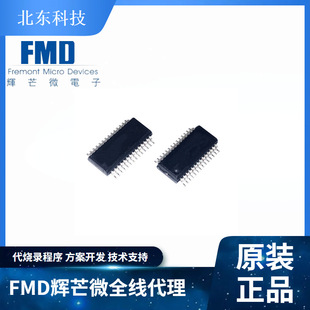 FMD/辉芒微 FT62F287C-TRB-TSSOP28 高性能8位触控型单片机-阿里巴巴