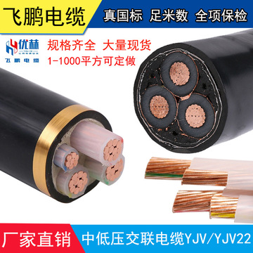 飞鹏电缆 国标电缆保检铜芯电缆线 YJV4*16+1*10平方低压电力电缆-阿里巴巴