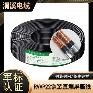 国标纯无氧铜2芯抗干扰zrc-rvvp22屏蔽控制电缆阻燃铠装信号电线-阿里巴巴