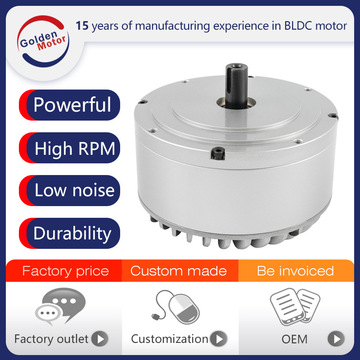 3kW CE 3-Phase BLDC Motor for E-Motorcycle Conversion高性能-阿里巴巴