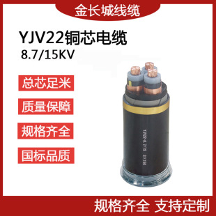 厂家直发YJV22 8.7/15KV 3*70发电力电缆 国标高压铠装电缆-阿里巴巴