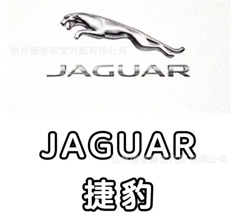 跨境优选 LR049317 T2H2556 适用于路虎揽胜运动发现 电子小水泵-阿里巴巴