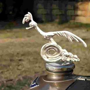 Yosemite Sam License Plate兜帽汽车爱好者的惊喜Wile E Coyote-阿里巴巴